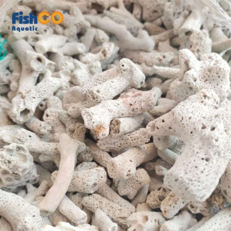 Jual KARANG JAHE 1Kg |MEDIA FILTER |MENINGKATKAN PH AIR |KARANG HIASAN ...