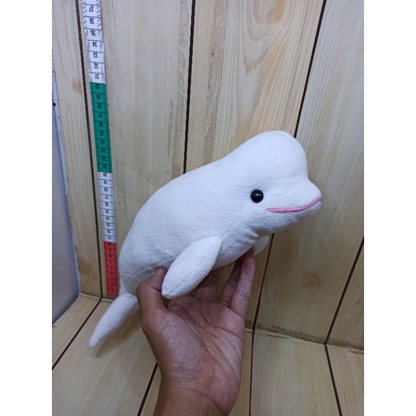 Jual boneka ikan paus belugga beluga original | Shopee Indonesia