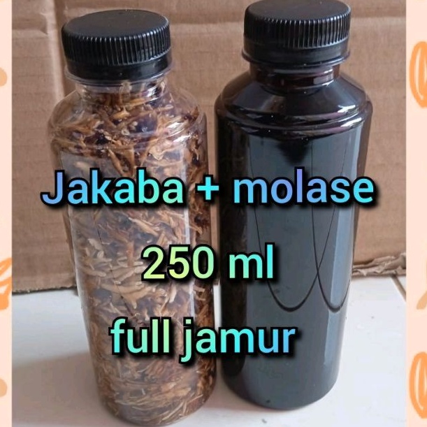 Jual Jakaba bibit 250 ml full + Molase / tetes tebu | Shopee Indonesia