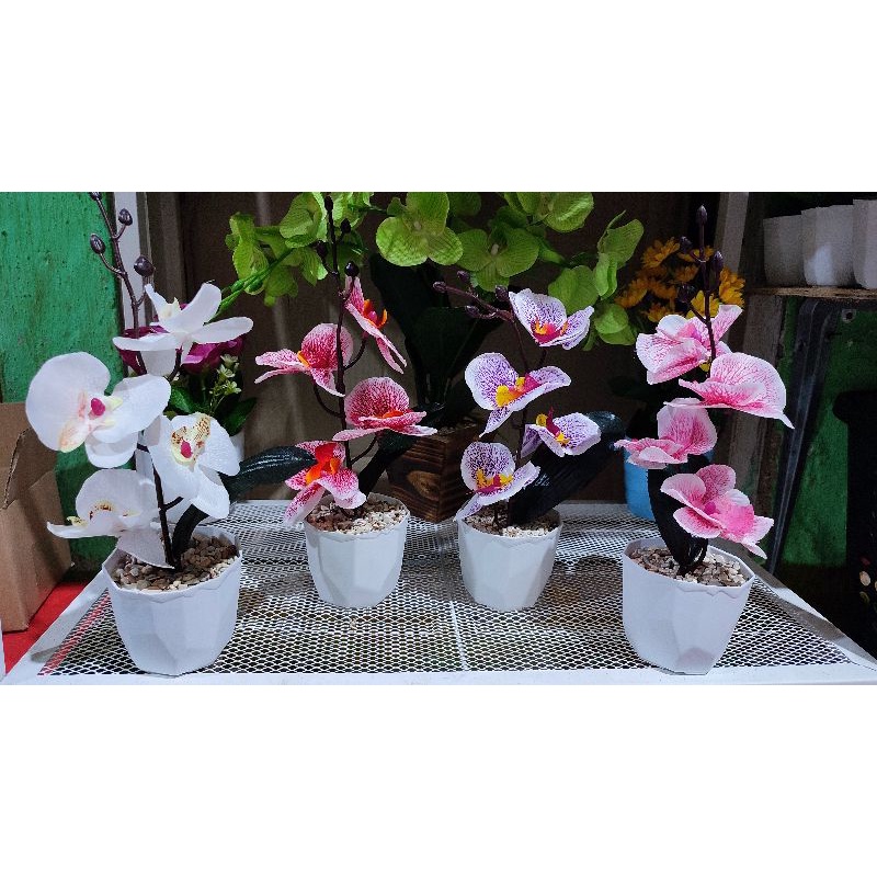 Jual bunga hias anggrek mini dengan pot permata dan batu alam | Shopee ...