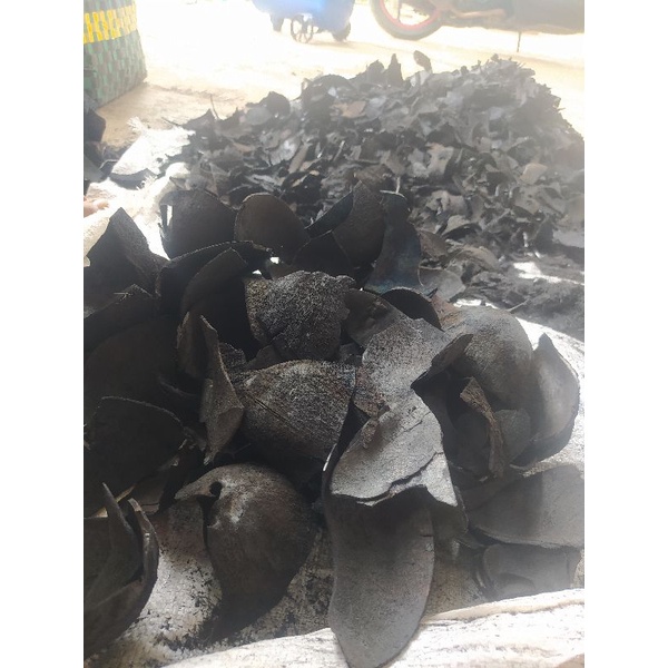Jual areng/areng batok/areng batok kelapa | Shopee Indonesia