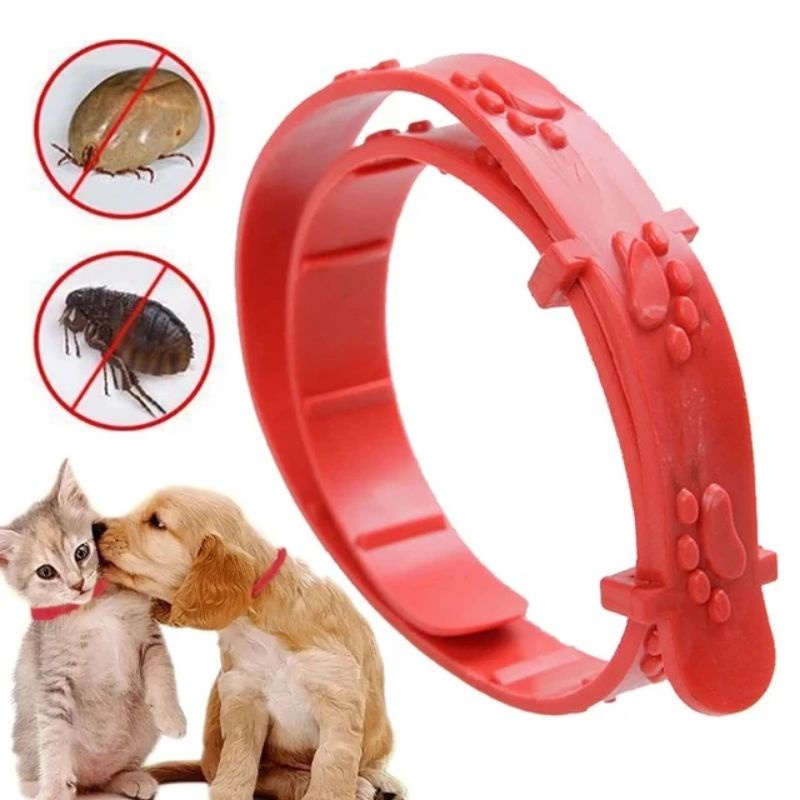 Jual Kalung Kucing Anjing Anti Kutu - Pest Control Collar Super Ampuh ...