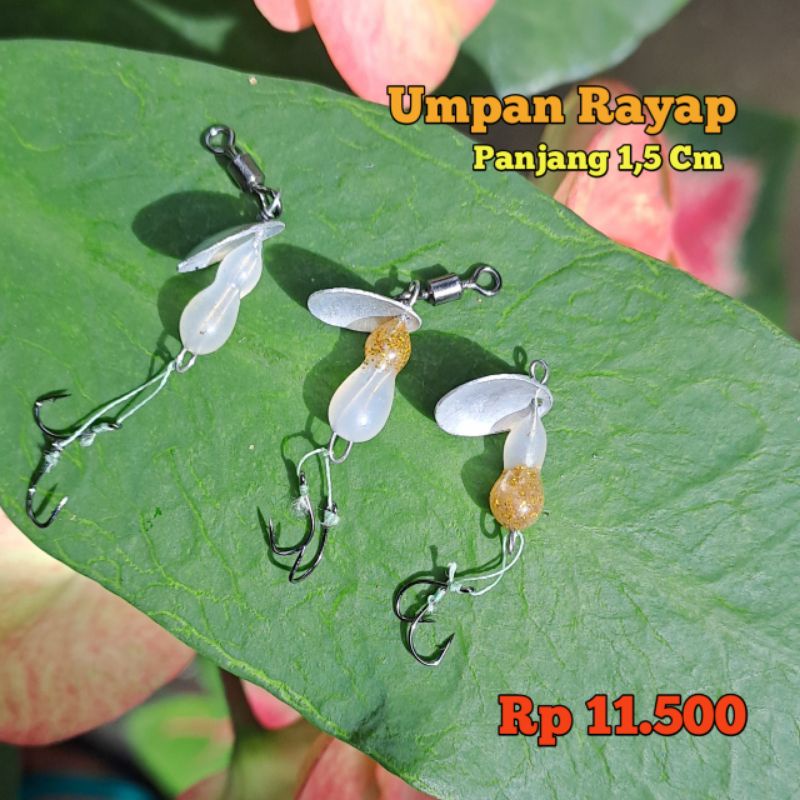 Jual Umpan Rayap Murah Untuk Casting Ikan Wader, Nila, Mujair, Bawal ...