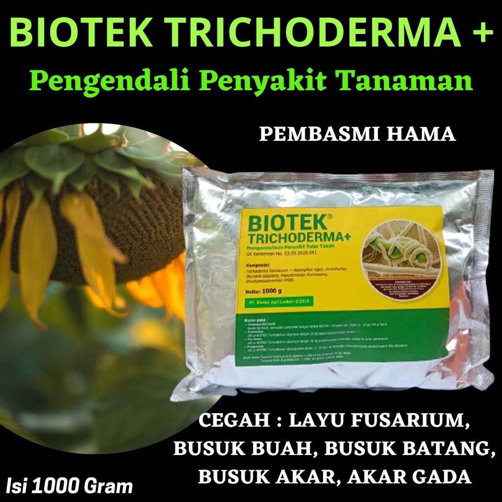 Jual Pupuk Tricoderma Hayati, Obat Jamur Upas Pada Durian, Biotek ...
