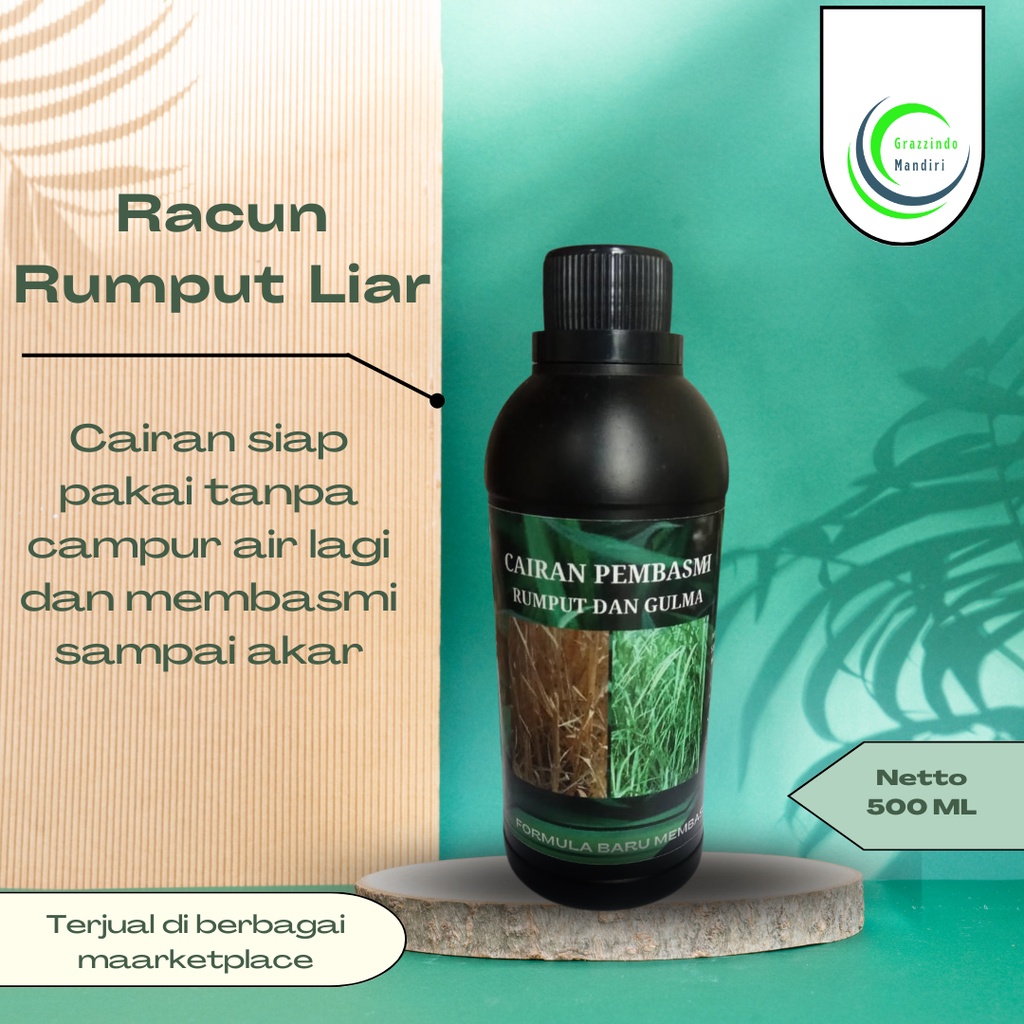 Jual Racun rumput paling ampuh siap pakai refill - 500ml | Shopee Indonesia