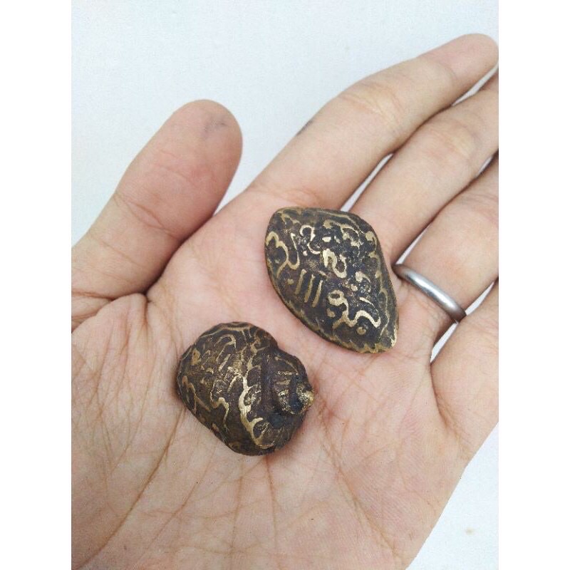 Jual Keong Kol Kijeng Rajahan Kuningan | Shopee Indonesia