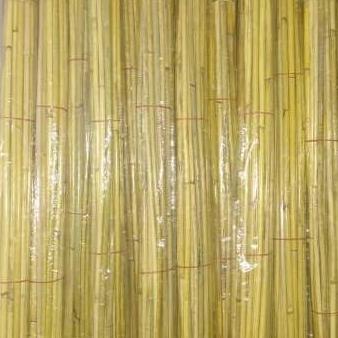 Jual {predator dimana mana} {mari jg pasangan kita} sebat rotan untuk ...