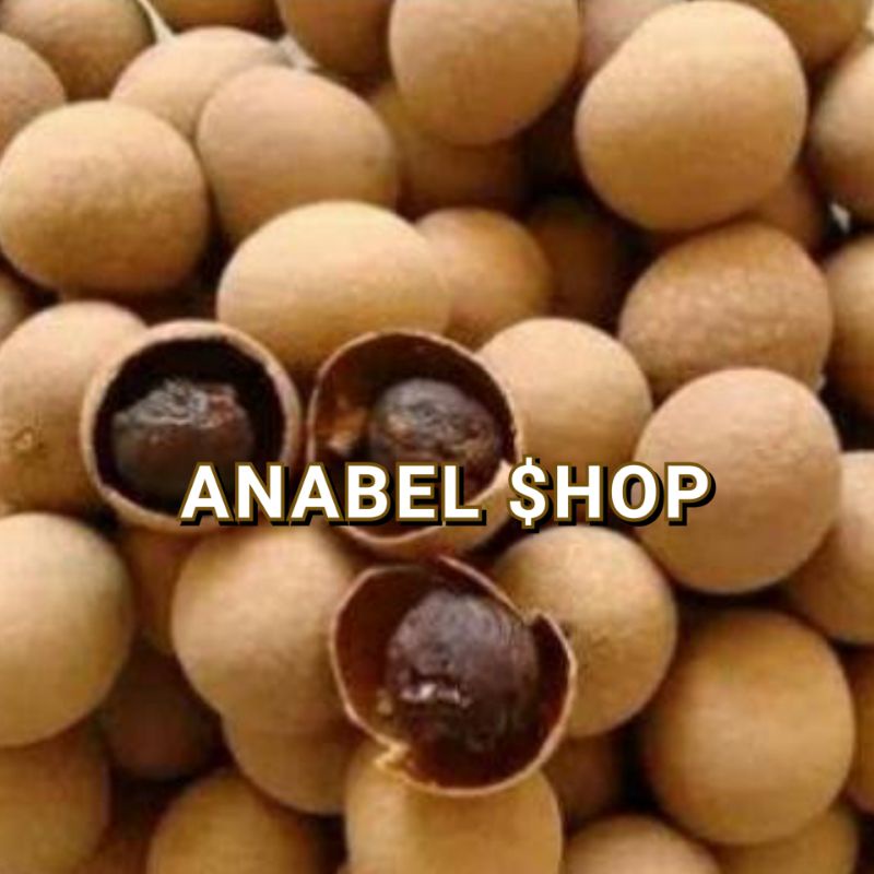 Jual Dried Longan With Shell Lengkeng Kering Dengan Kulit 500 gram ...
