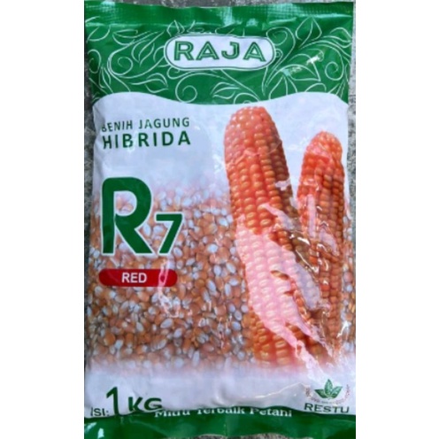 Jual Benih Jagung Hibrida Raja R7 Red 1kg | Shopee Indonesia