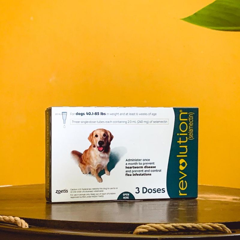 Jual Revolution Teal ( isi 1 tube ) | Shopee Indonesia