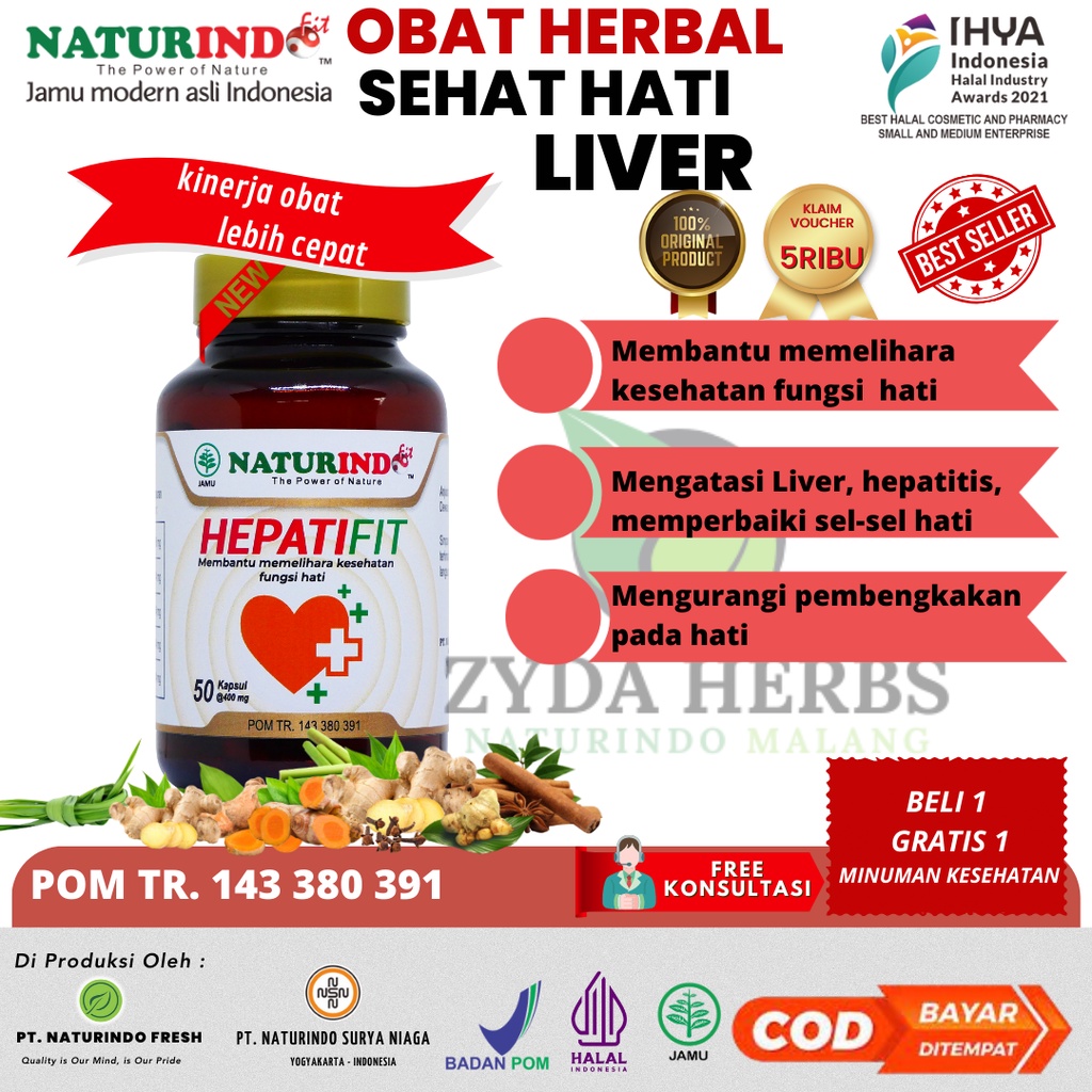 Jual OBAT LIVER BIDURAN HEPATITIS ALERGIGATAL HEPATIFIT | Shopee Indonesia