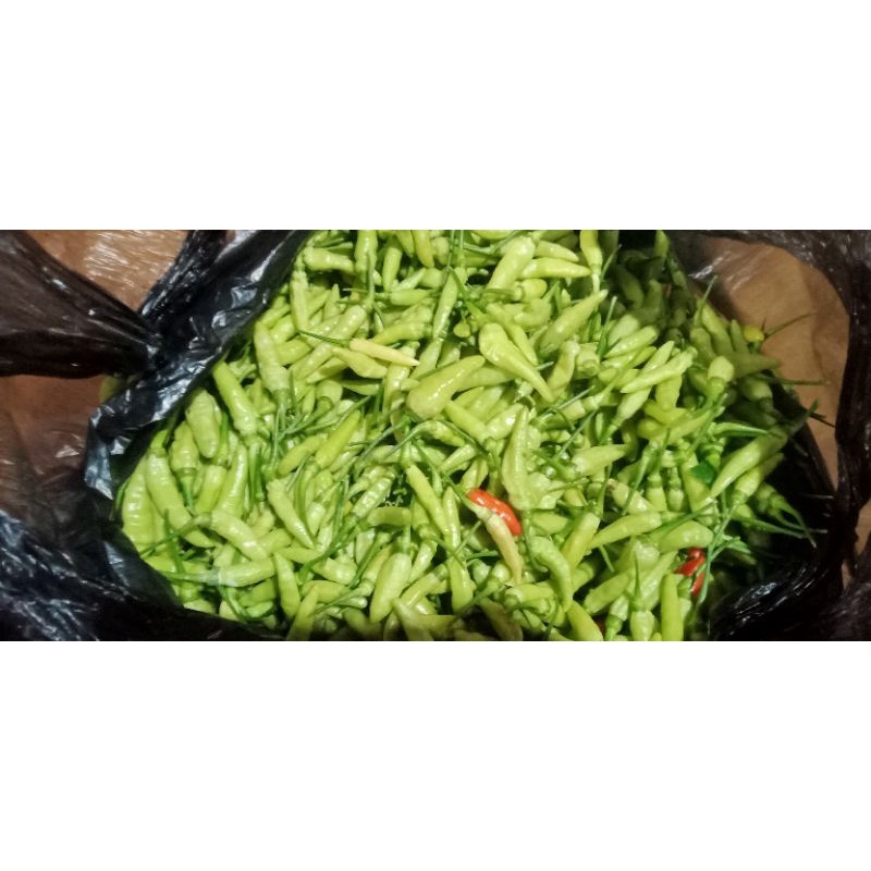 Jual Cabe Ijo, merah fresh dari pohon | Shopee Indonesia