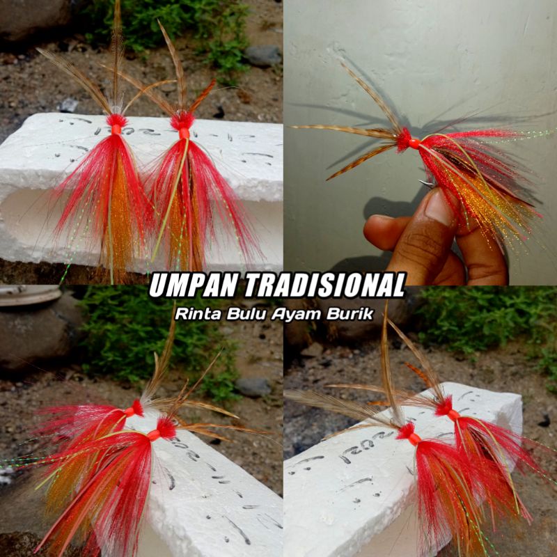 Jual Umpan bulu ayam burik ( Rinta bulu ayam ) | Shopee Indonesia