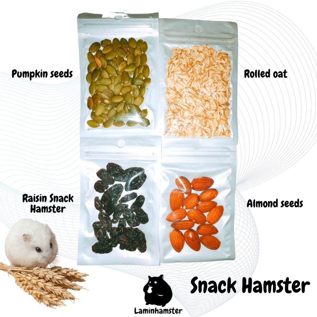 Jual Snack Hamster Seeds - Almond Seeds-Raisin-Pumpkin Seeds-Rolled ...