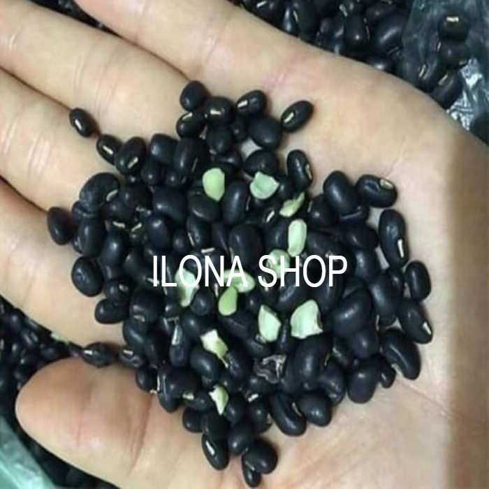 Jual KEDELAI HITAM KERING SOYBEAN IMPORT 1KG / KACANG KEDELAI HITAM ...