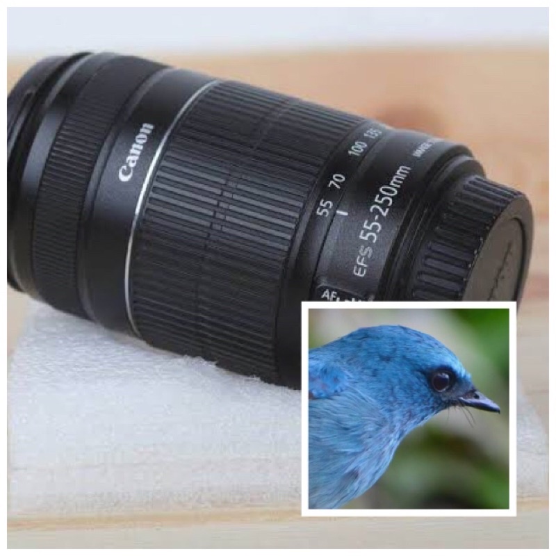 Jual lensa Tele canon 55 250mm Is ii for kamera canon dslr | Shopee ...