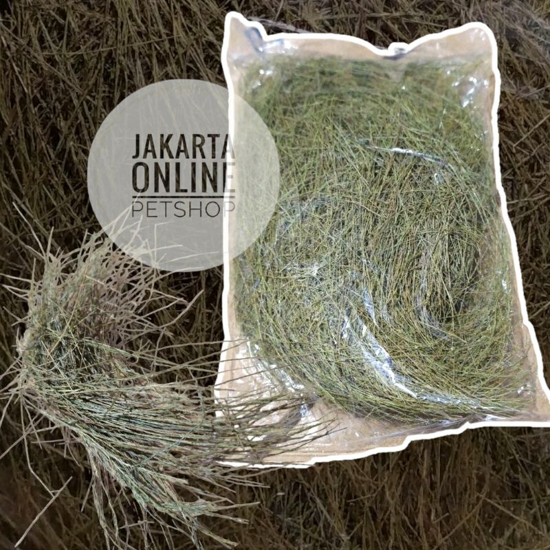 Jual sarang burung serat rayung serat rumput gelagah | Shopee Indonesia