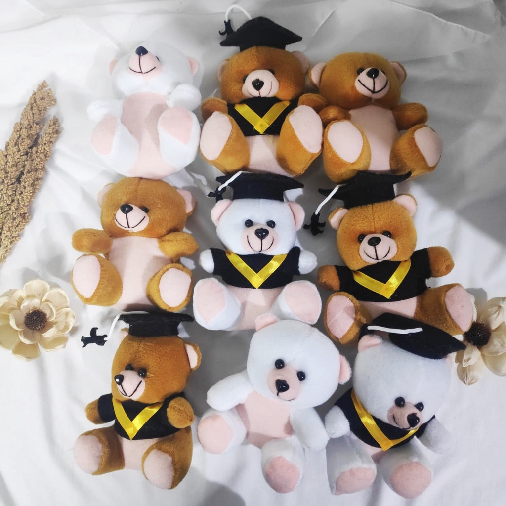Jual BONEKA WISUDA MINI | BONEKA POLOS BERUANG TEDDY BEAR MINI | Shopee ...