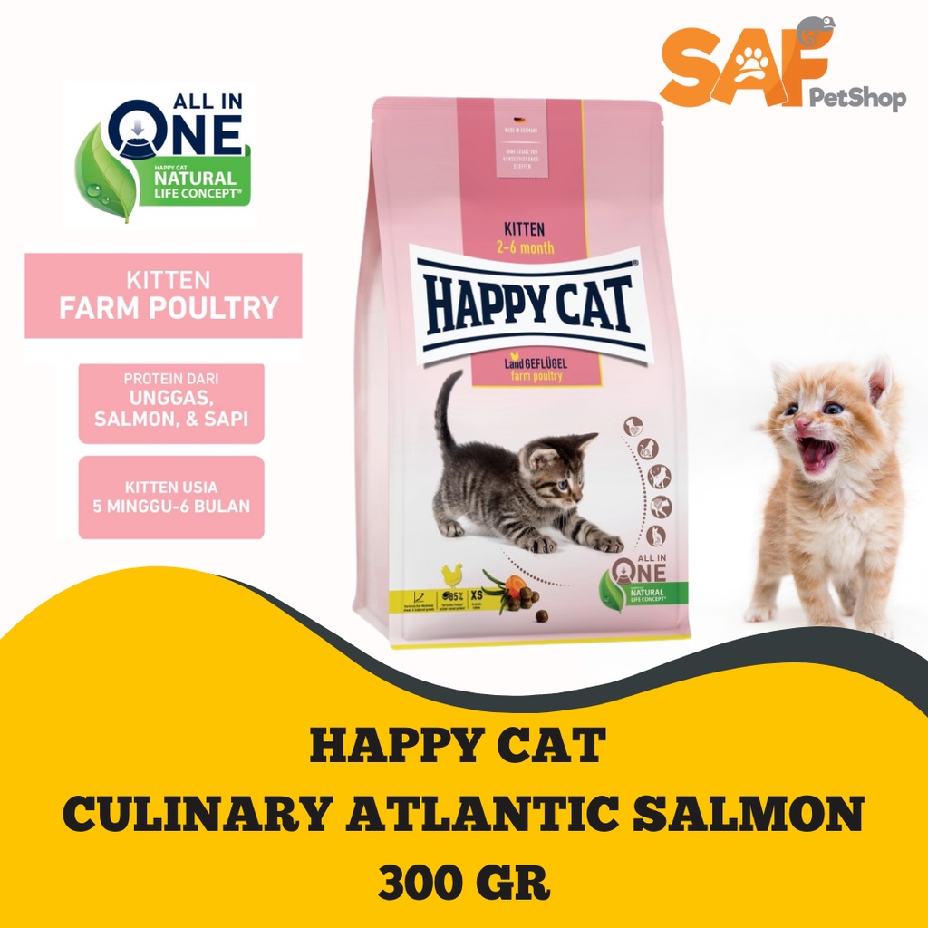 Jual HAPPY CAT YOUNG KITTEN 300 GR MAKANAN ANAK KUCING | Shopee Indonesia