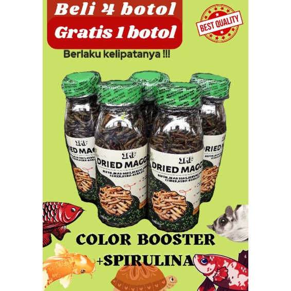 Jual Maggot Kering BSF bersih Kemasan Botol 100ml Suplemen hewan hias ...