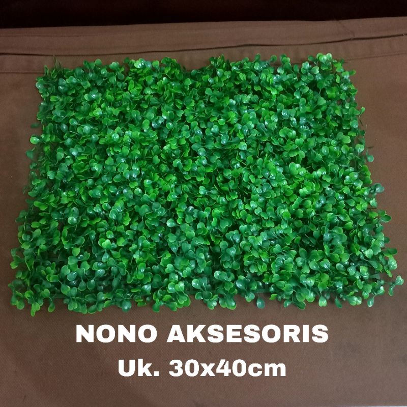 Jual rumput dasar hiasan Aquarium Aquascape akuarium uk.30x40cm ...