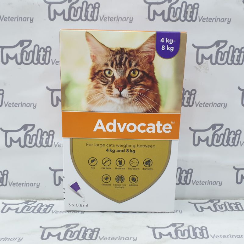 Jual ADVOCATE CAT L 4-8 kg Obat Kutu Kucing Tick & Flea ECER 1 PIPET ...