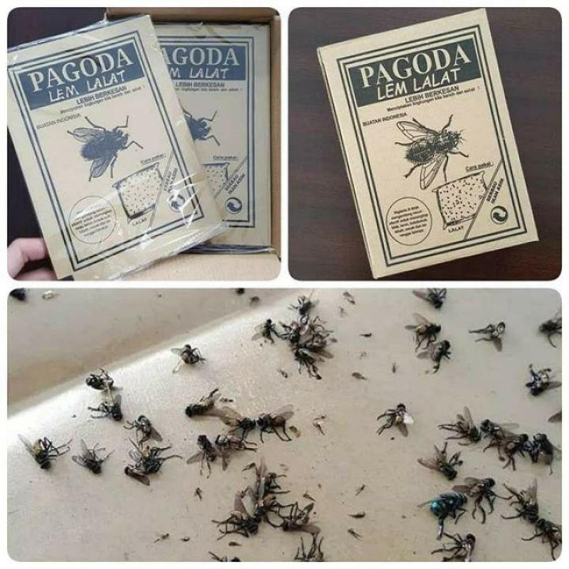Jual 1 PACK ISI 10 lembar lem lalat laler serangga kertas murah meriah ...