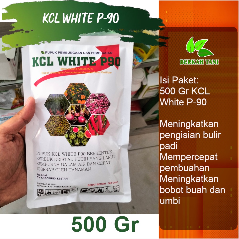 Jual KCL White P90 500 Gram Pupuk Penambah Bobot Padi | Shopee Indonesia