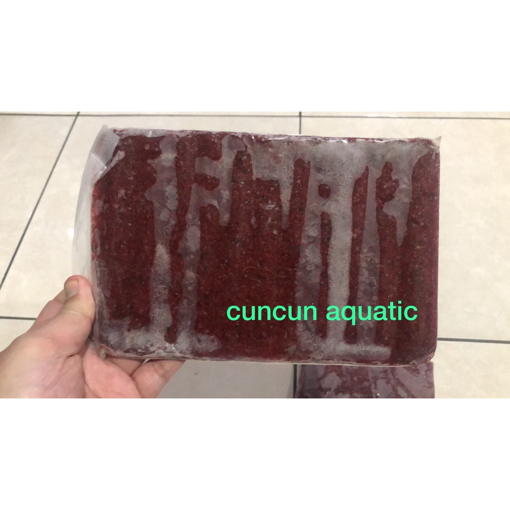 Jual CACING BEKU 1 KG CACING DARA FRESH GRADE SUPER KADAR AIR DIKIT ...