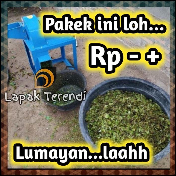 Jual Mesin Cacah Rumput Otomatis Ch-120D Alat Pencacah Daun Pandan ...