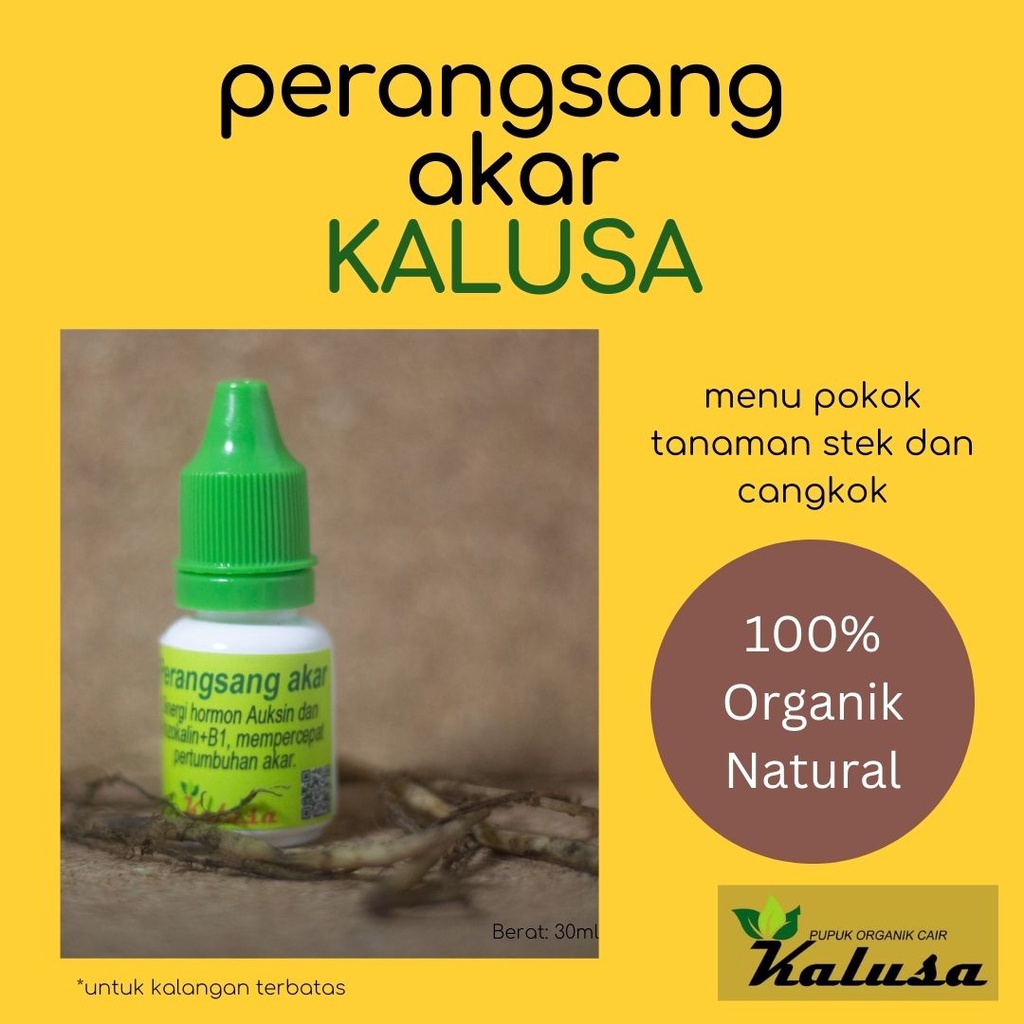 Jual PERANGSANG AKAR STEK CANGKOK ORGANIK PERTUMBUHAN KALUSA NATURAL ...