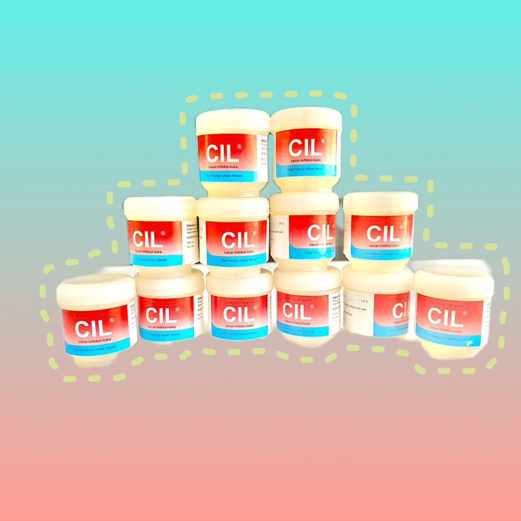 Jual SALEP CIL 18 gr ( 1 Pack isi 12 biji ) | Shopee Indonesia