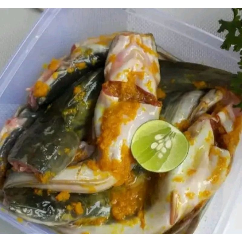 Jual Lele bumbu kuning isi 4-5 ekor / Lele marinasi segar fresh gurih ...