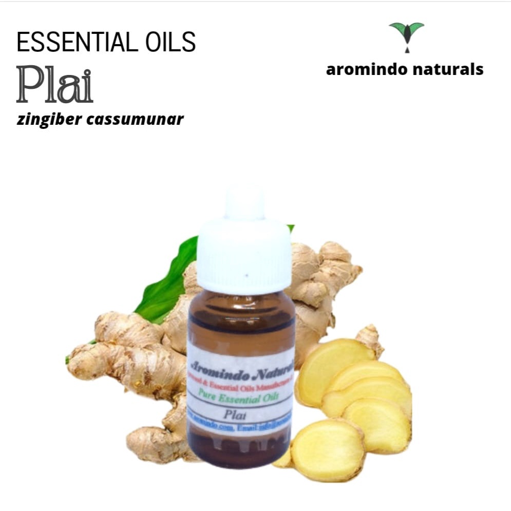 Jual PLAI ESSENTIAL OIL 5ML 10ML | Shopee Indonesia