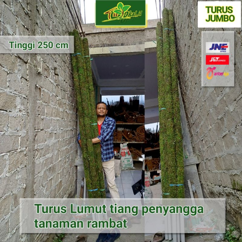 Jual Turus penyangga tanaman tinggi 2,5 meter - Turus lumut - Turus ...