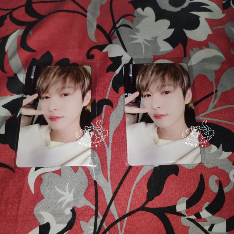 Jual PHOTOCARD NCT DREAM RENJUN NGANTUK ID CARD UNIVERSE SELCA VER ...
