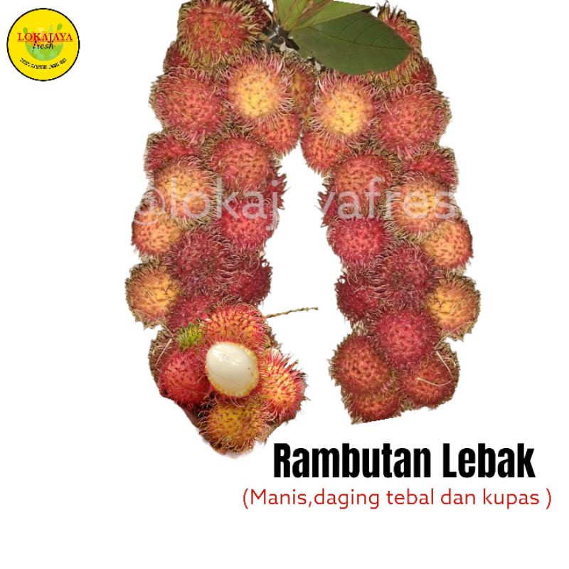 Jual Rambutan Lebak 2 Ikat | Shopee Indonesia
