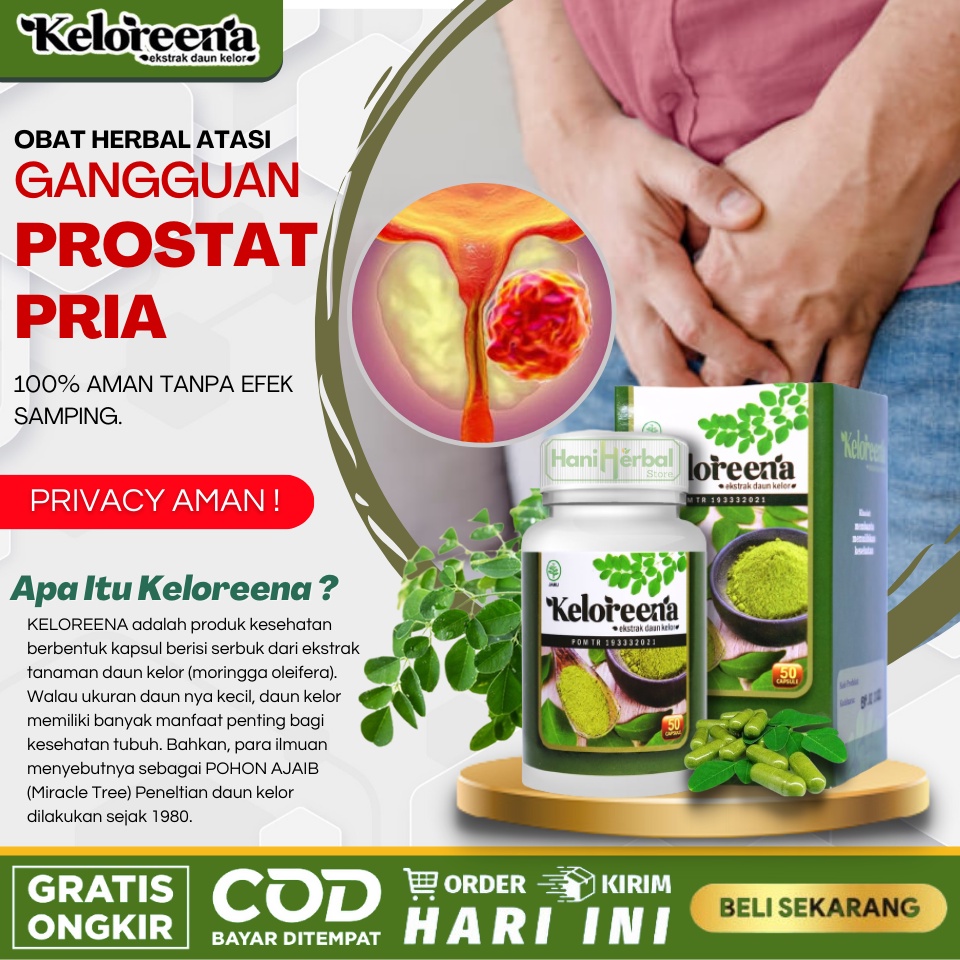 Jual Obat Prostat Alami Yang 100 Asli Prostat Bengkak Radang Prostat