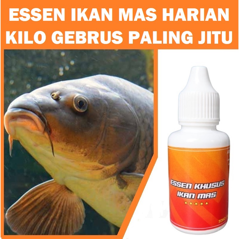 Jual ESSEN IKAN MAS HARIAN KILO GEBRUS PALING JITU / ESSEN IKAN MAS ...