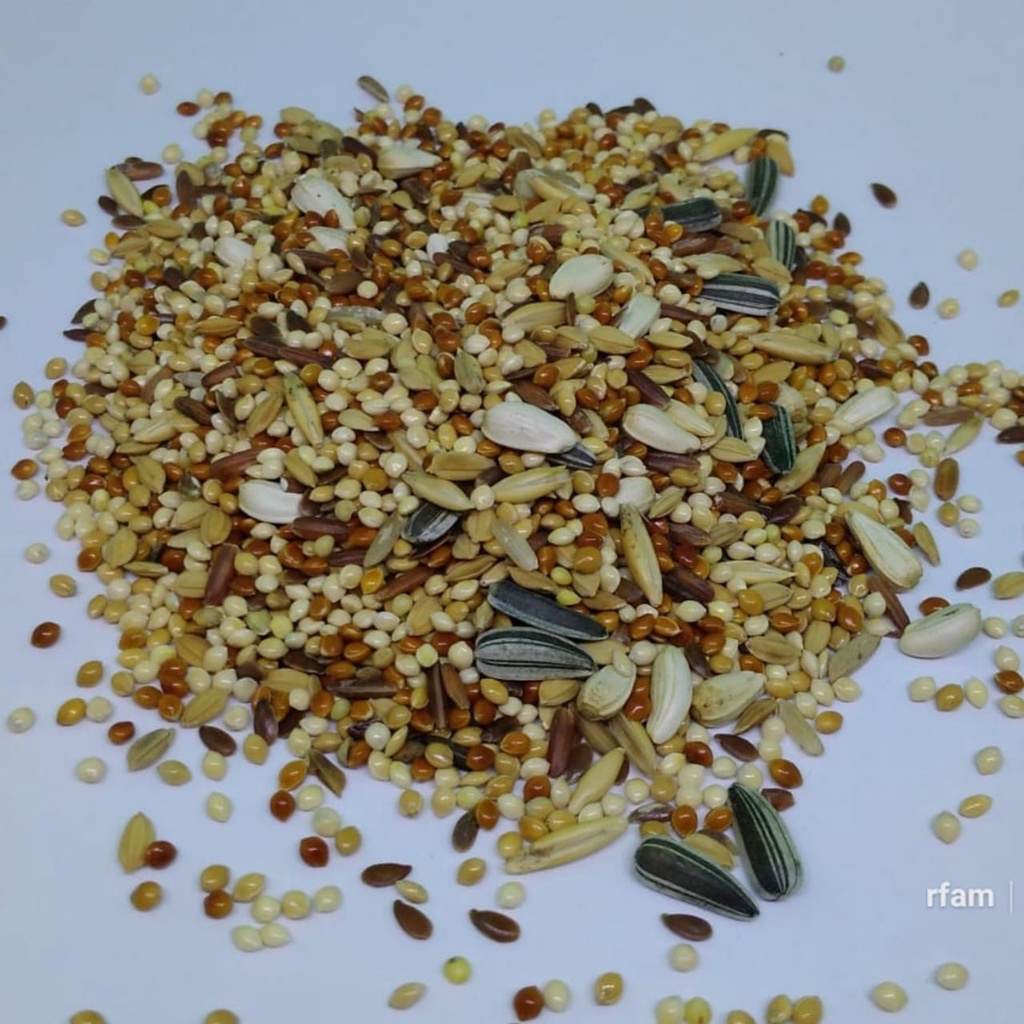 Jual PAKAN TERNAK BURUNG 500gr KG KEMBANG BIAK PAKAN LOVEBIRD SUN ...