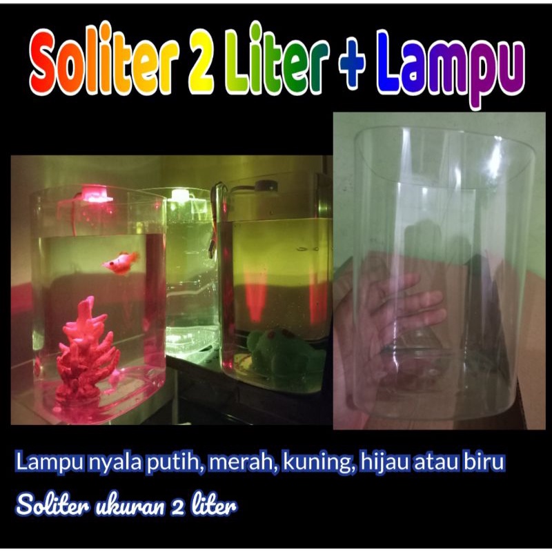 Jual Soliter ikan cupang akrilik 2 liter, toples 2 liter | Shopee Indonesia