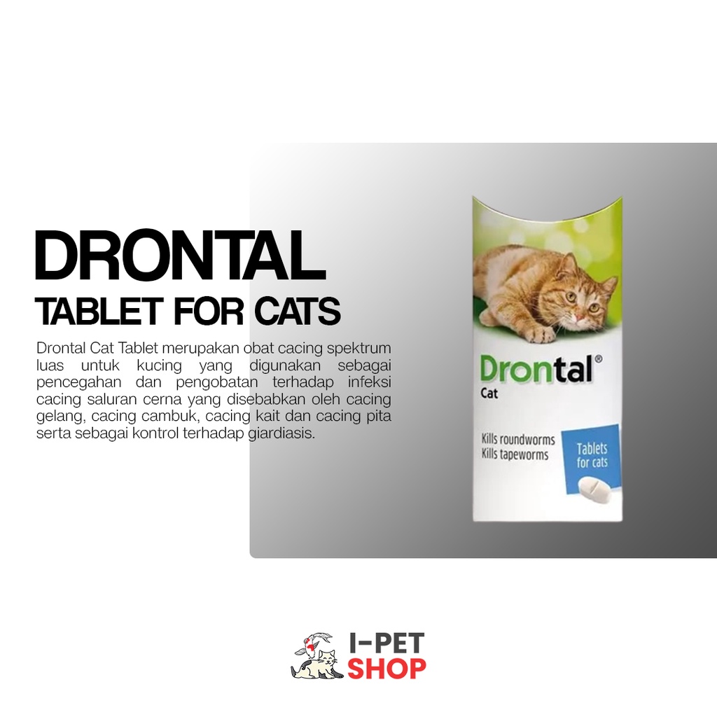 Jual Drontal Cat Tablets for Cats (PT Elanco) | Shopee Indonesia