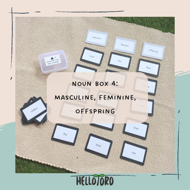 Jual Montessori Grammar Boxes Noun | Shopee Indonesia