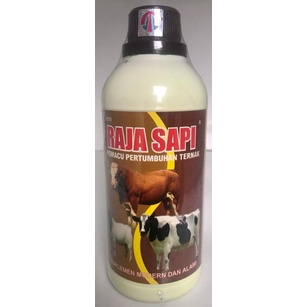 Jual Raja Sapi ~ Suplemen pemacu pertumbuhan ternak sapi 500Ml | Shopee ...