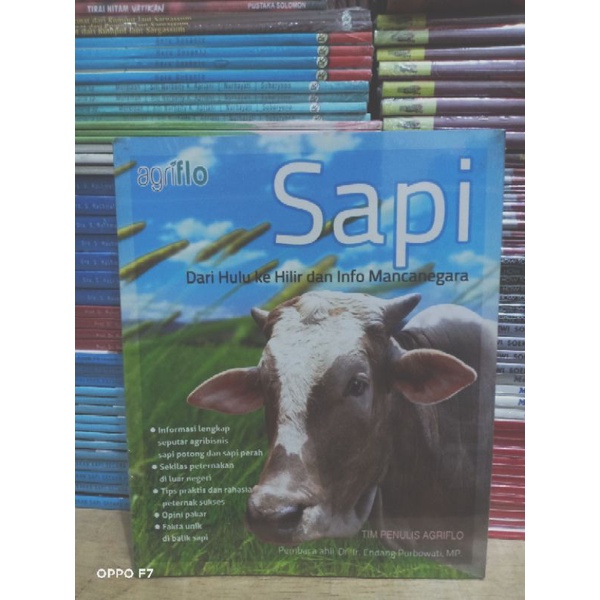 Jual BUKU SAPI DARI HULU KE HILIR DAN INFO MANCANEGARA | Shopee Indonesia
