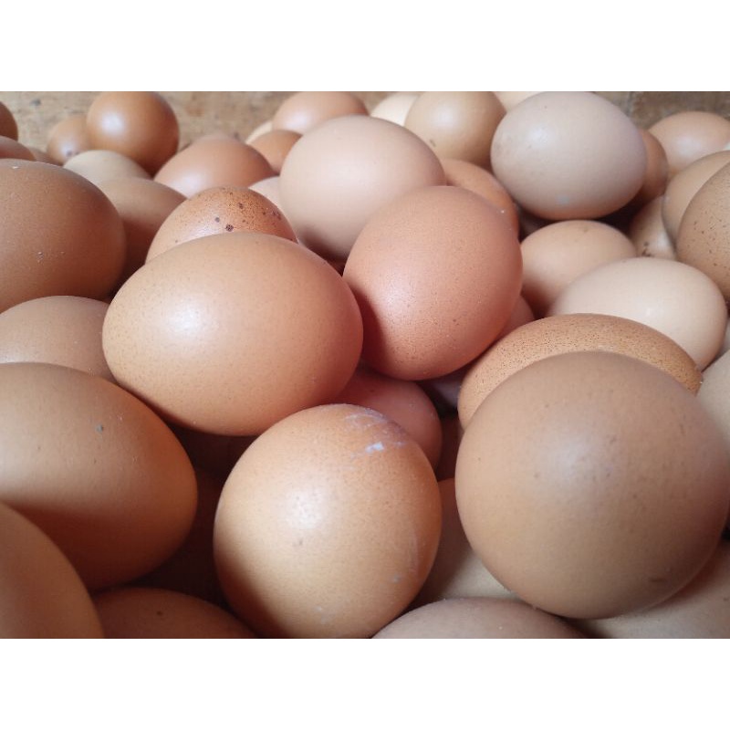 Jual Telur Ayam Negeri Fresh Per 1 Kg | Shopee Indonesia