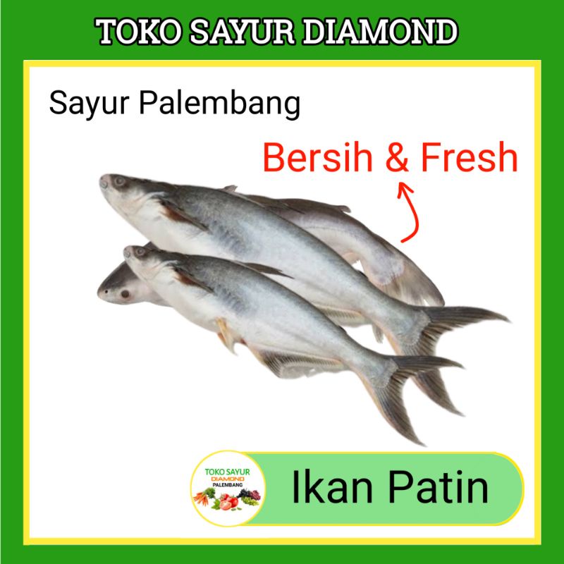 Jual Ikan Patin Fresh - Diamond Palembang | Shopee Indonesia