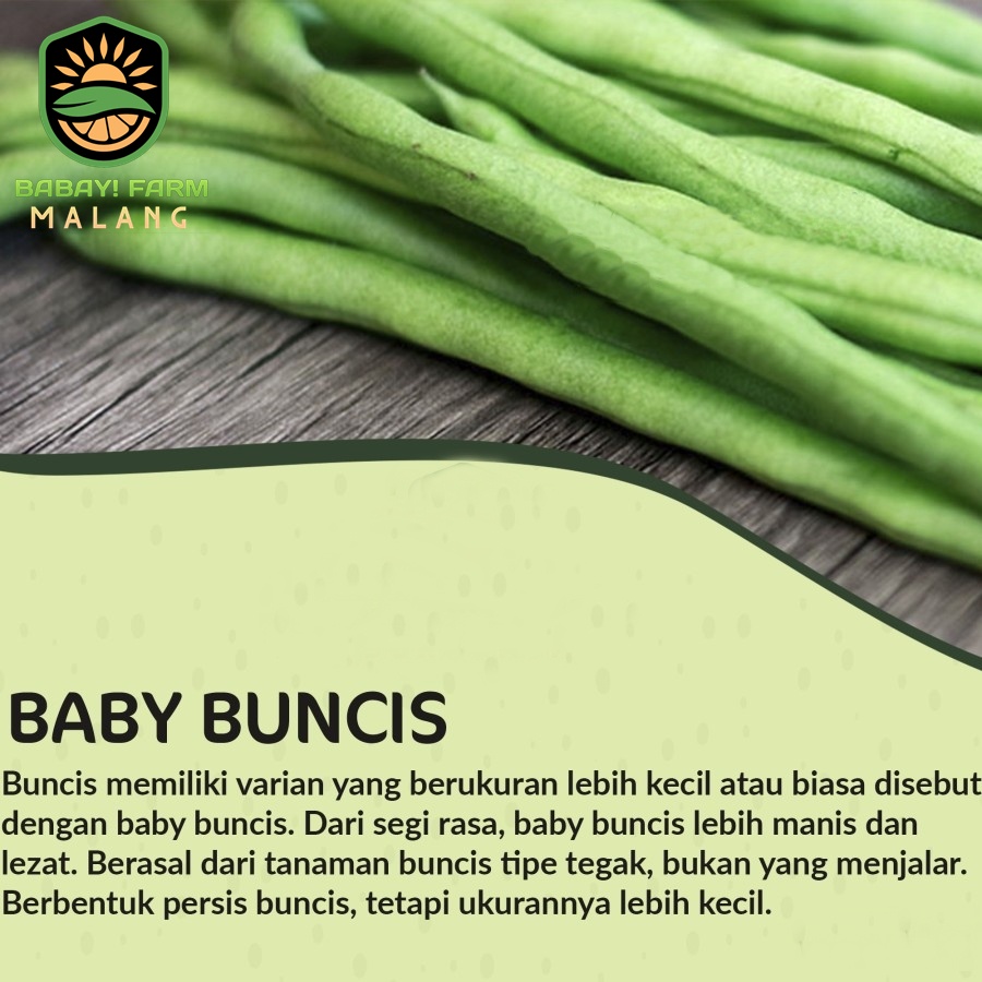 Jual Baby Buncis Segar 250 500 gr / 1 kg | Shopee Indonesia