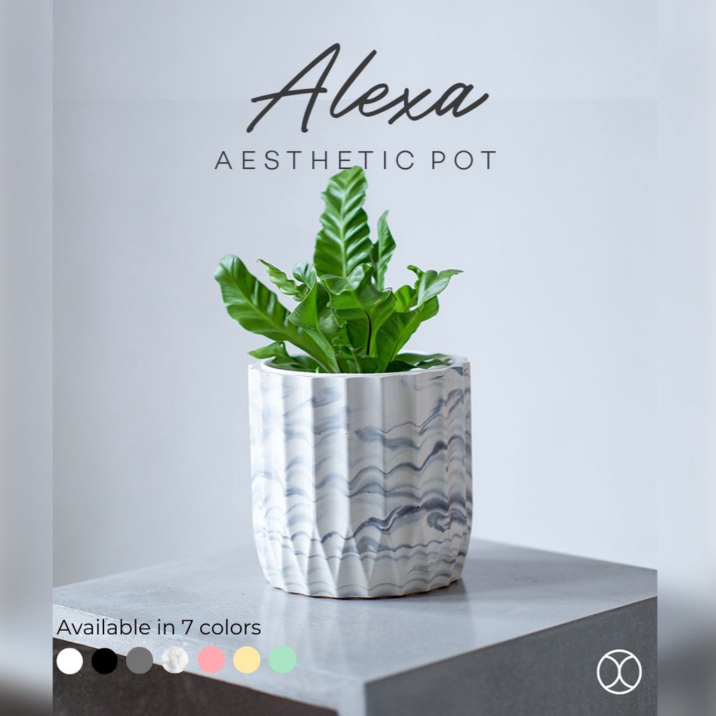 Jual CONCREATE LIVING Pot 15 Cm Alexa Home Decor 15 Cm Pot Aesthetic ...