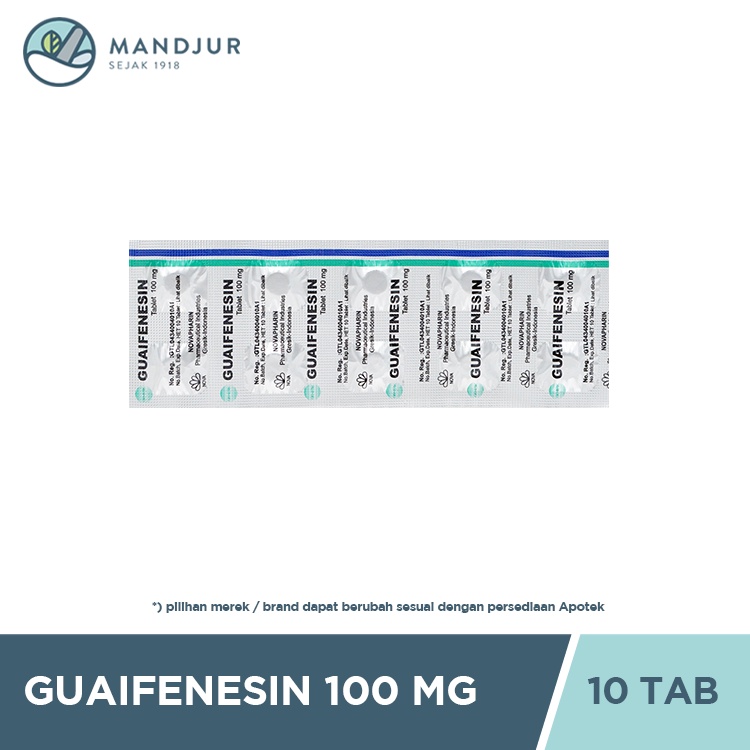Jual Guaifenesin 100 mg 10 Tablet - Obat Batuk Berdahak | Shopee Indonesia